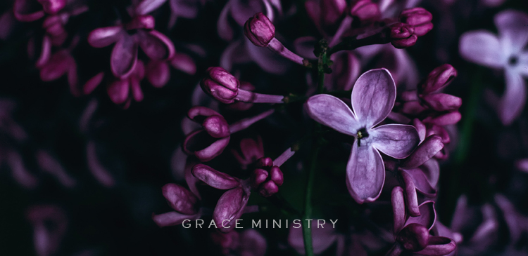 Devotions for Women: 3 Fall Crafts for the Woman on a Budget. Grace ...